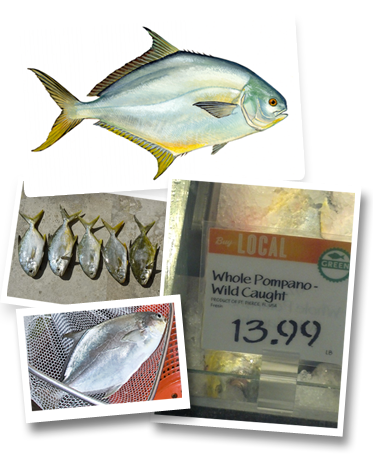 Preview - MRC Fisheries